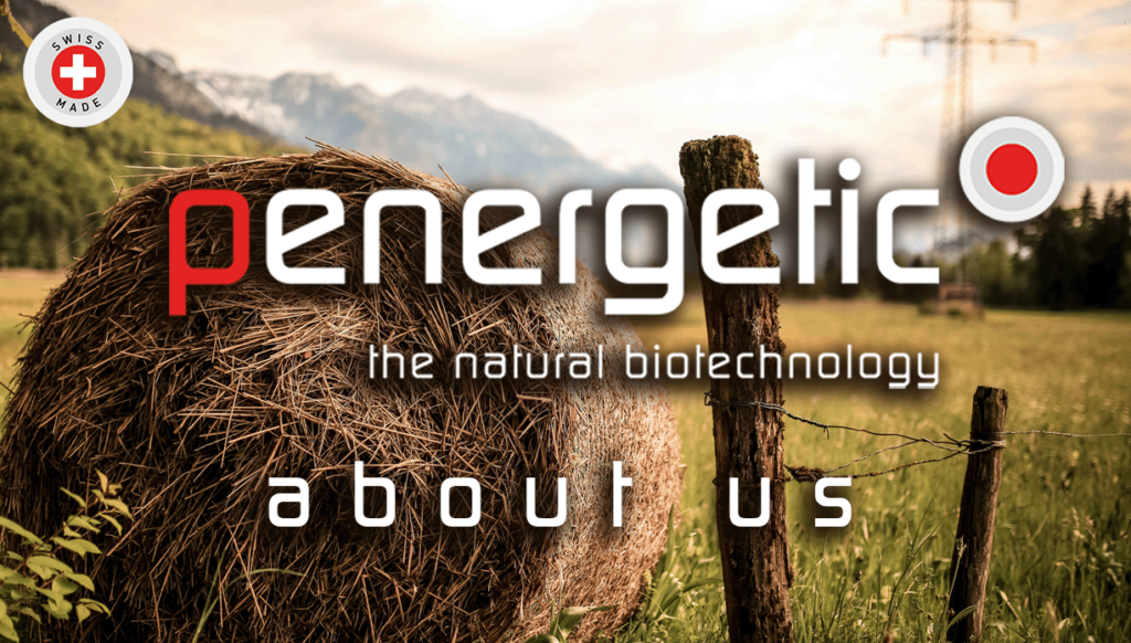 ABOUT US - Penergetic New Zealand