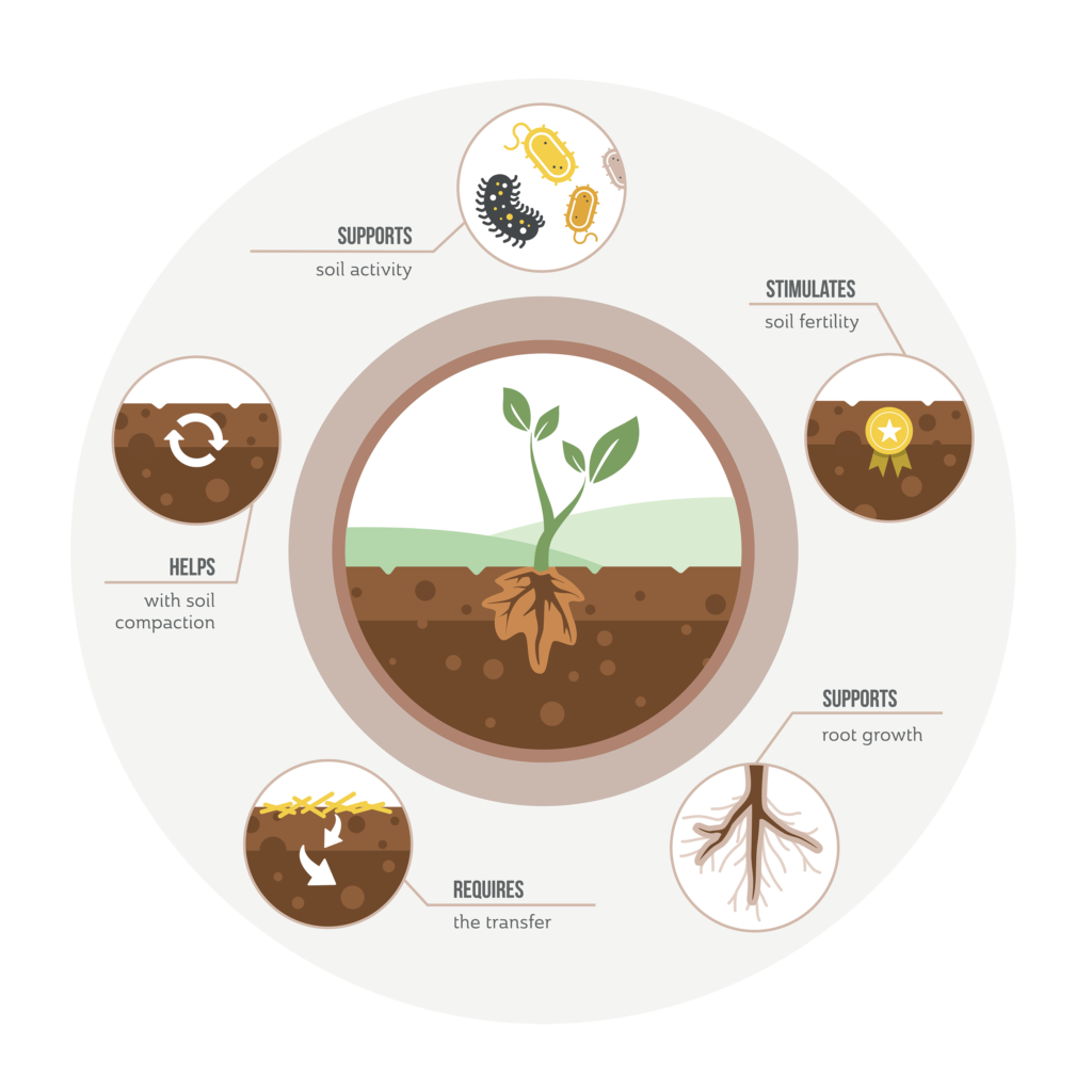 P-b SOIL - Penergetic New Zealand